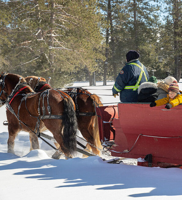 Horse Drawn Sleigh Rides - Mont-Tremblant - Quebec