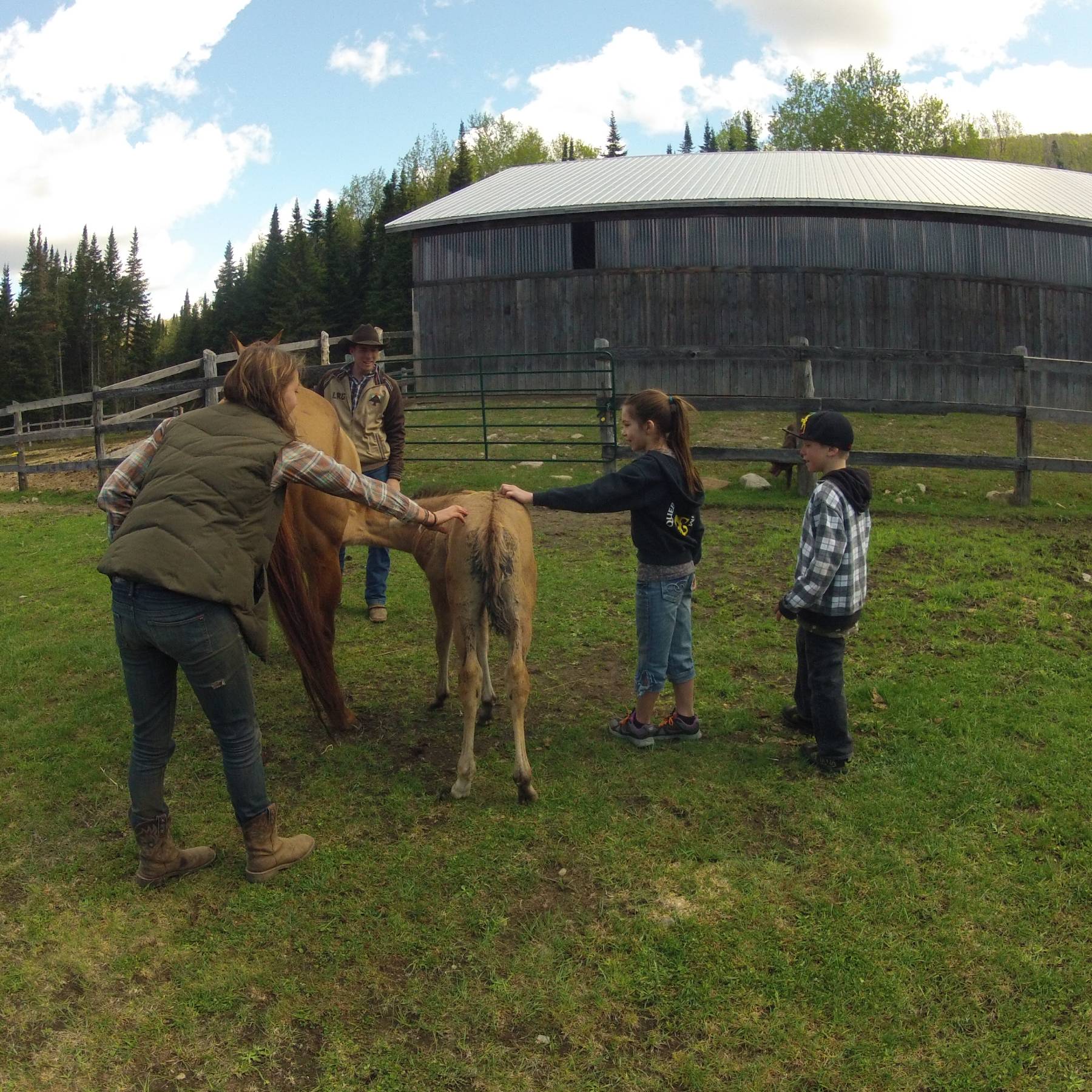 Horse Riding for Kids (From age 5) | Mont-Tremblant Activity Centre, Quebec