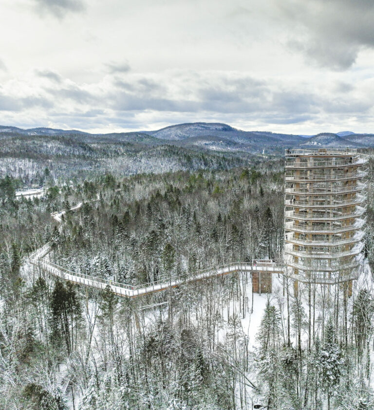 Bike Rental - Treetop Walk Package (4-6h) | Mont-Tremblant Activity ...