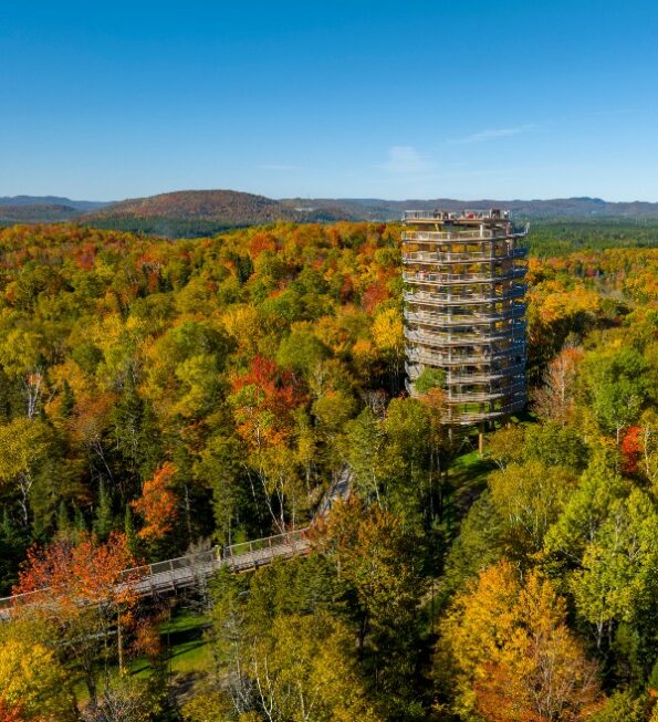 Sentier des cimes Laurentides - Marcher au dessus des arbres
