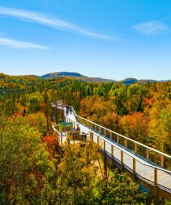 Treetop Laurentides Hiking Trails - The Activity Centre