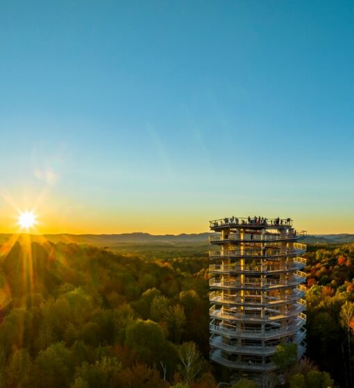 Sentier des cimes Laurentides - Marcher au dessus des arbres