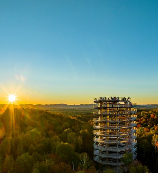 Sentier des cimes Laurentides - Marcher au dessus des arbres
