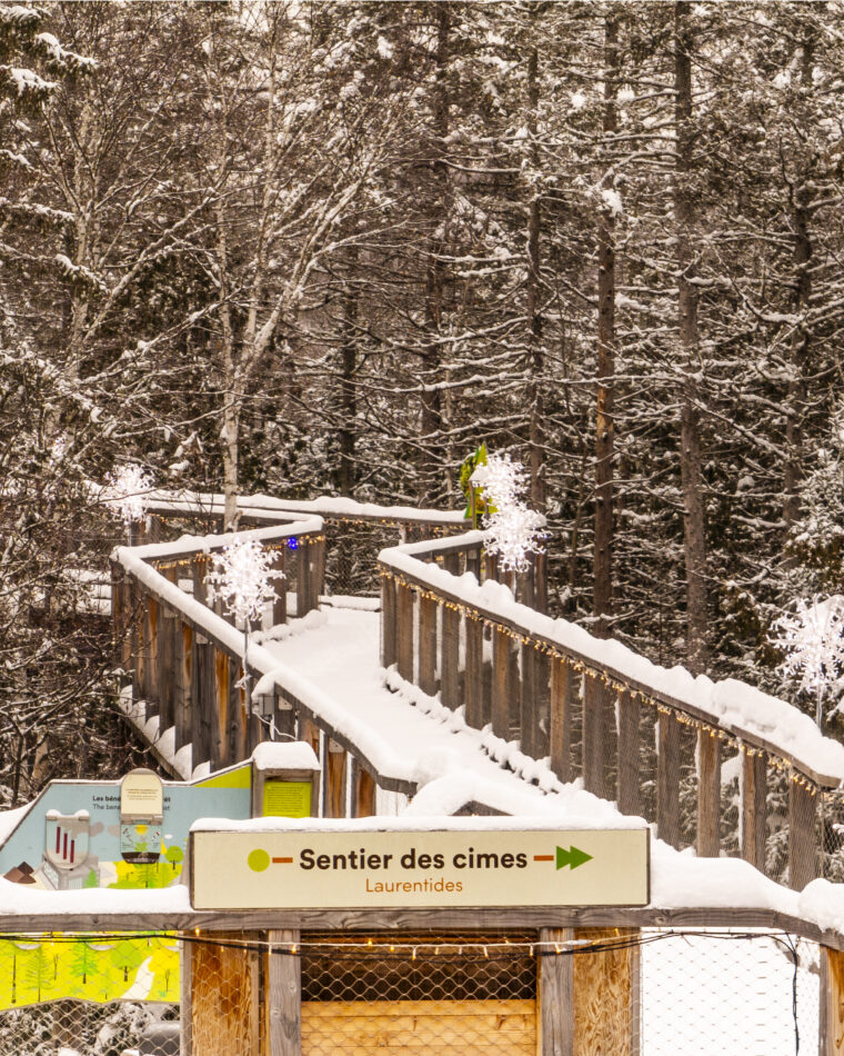 Treetop Walk, Easy Hiking Trail Laurentians | Mont-Tremblant Activity ...