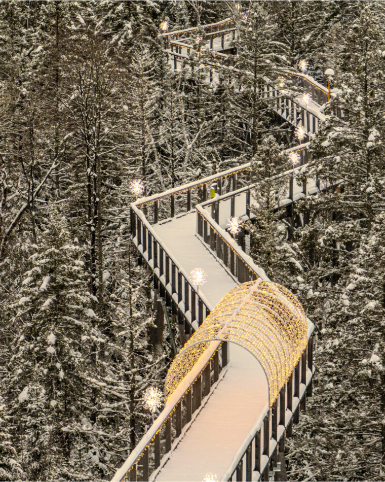 Treetop Walk, Easy Hiking Trail Laurentians | Mont-Tremblant Activity ...
