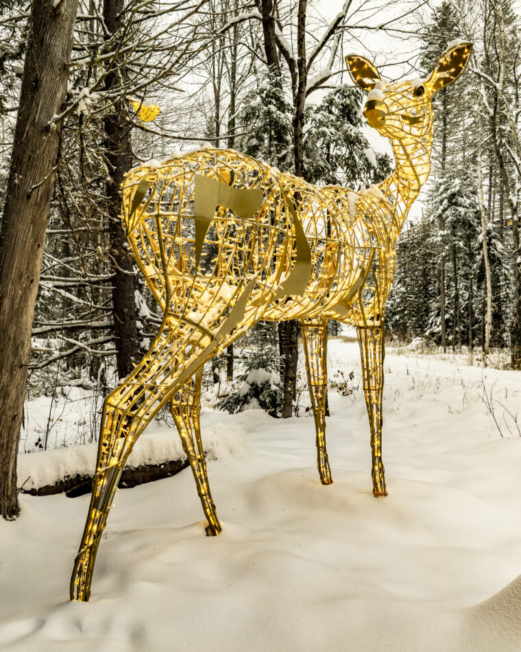 Treetop Walk, Easy Hiking Trail Laurentians | Mont-Tremblant Activity ...