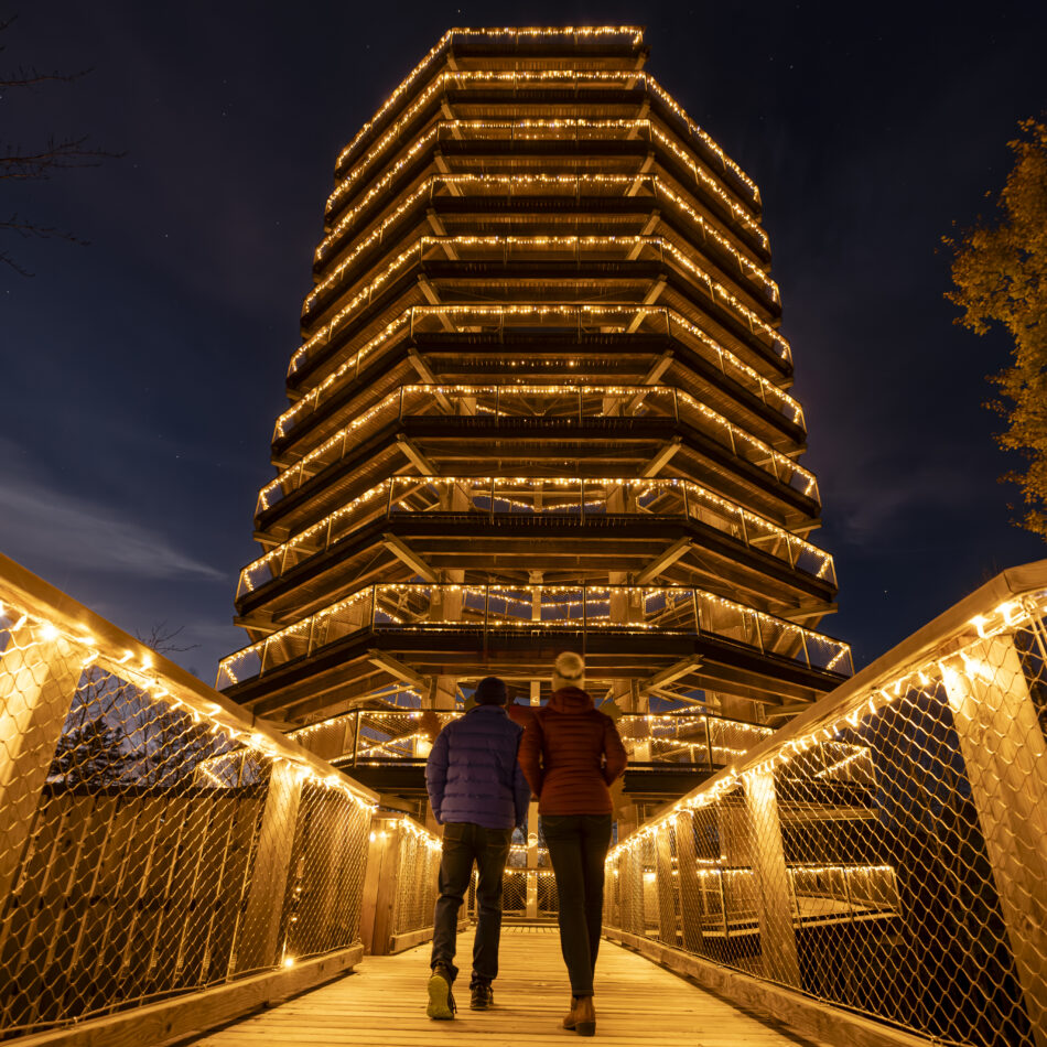 Treetop Walk, Easy Hiking Trail Laurentians | Mont-Tremblant Activity ...