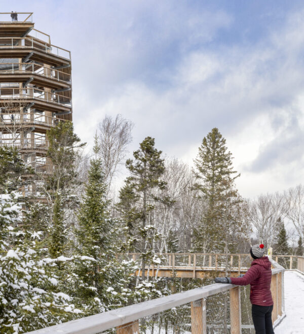 Treetop Walk, Easy Hiking Trail Laurentians | Mont-Tremblant Activity ...