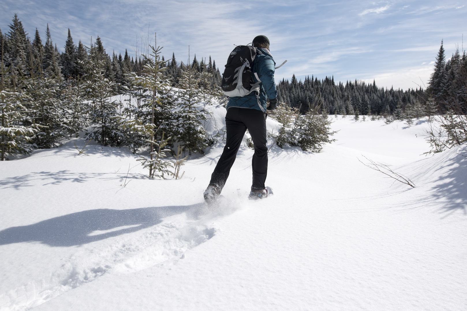 Sled Dog Kennel Visit & Bisons (2-3h) | Mont-Tremblant Activity Centre ...