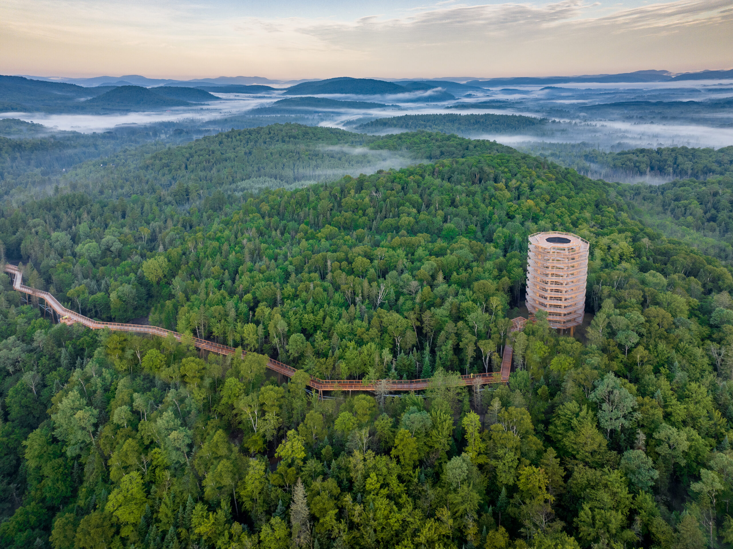 Sentier des cimes Laurentides - Marcher au dessus des arbres