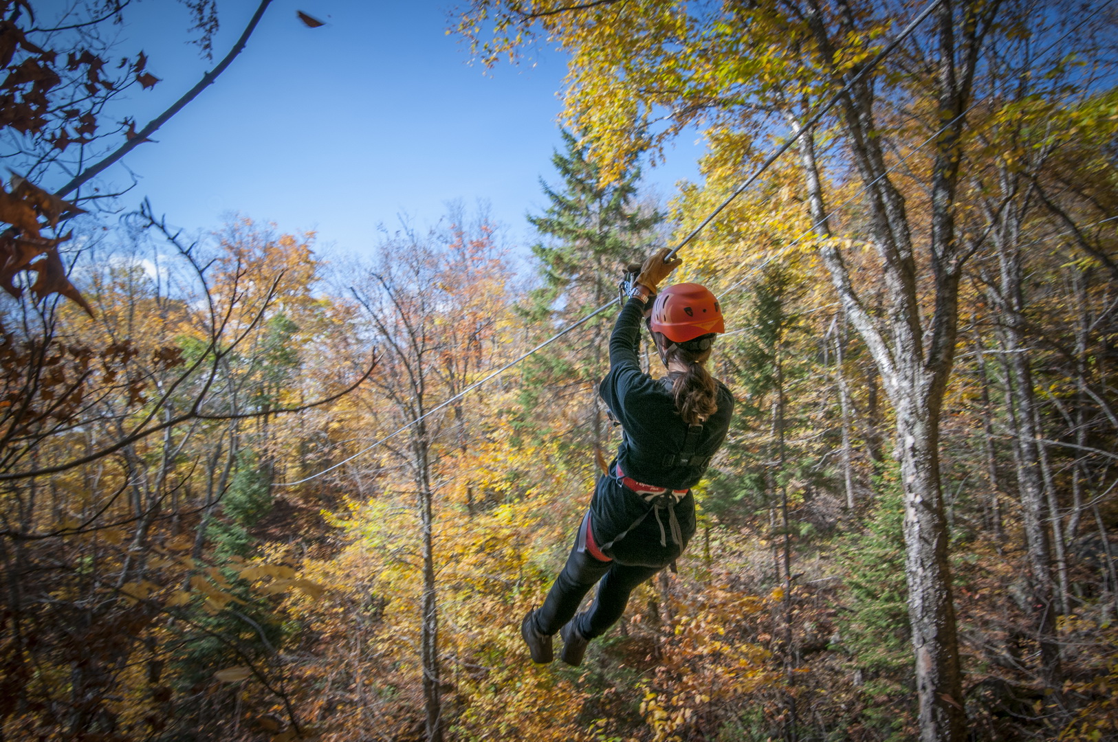 Ziplines in the Trees - River Ziplines | Mont-Tremblant Activity Centre ...